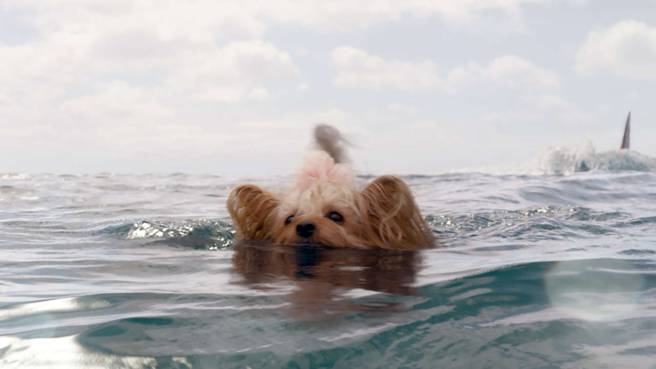 The Meg Review: It's A Giant Shark Movie
